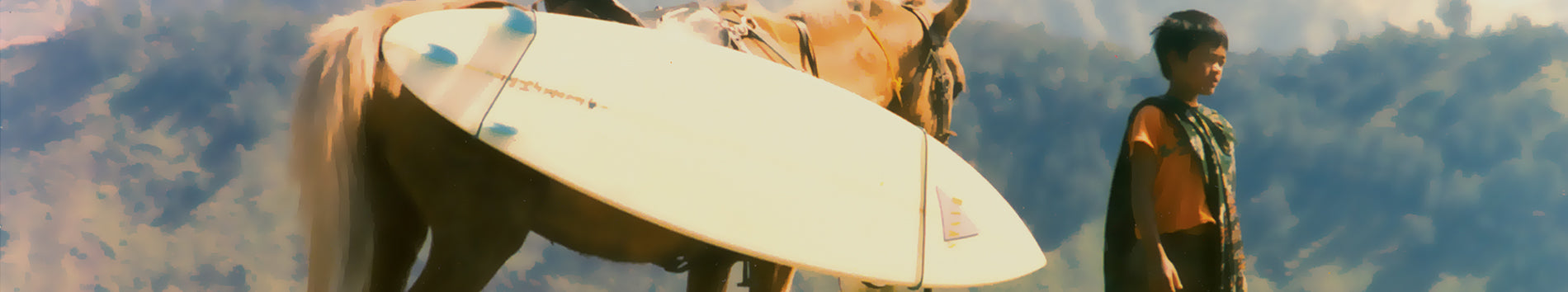 Albert Falzon Collection - FCS Australia